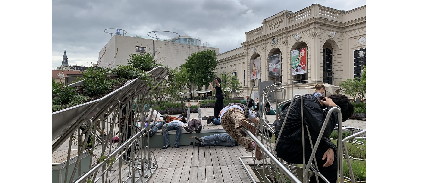 windy, rainy or sunny: WE PERFORM