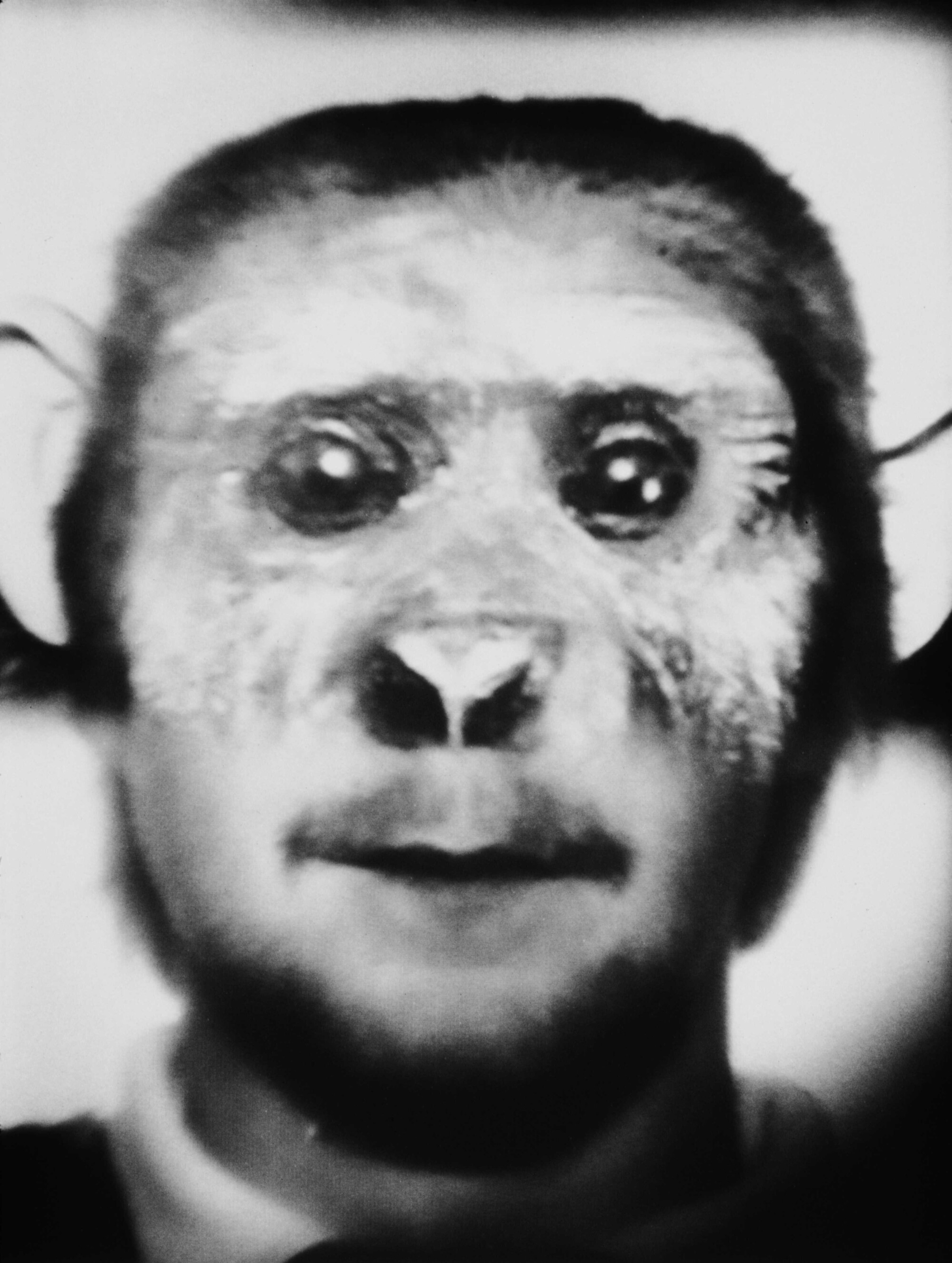 Gerhard Lang (GER): SIMULACRA EX SPECULIS - MuseumsQuartier Wien