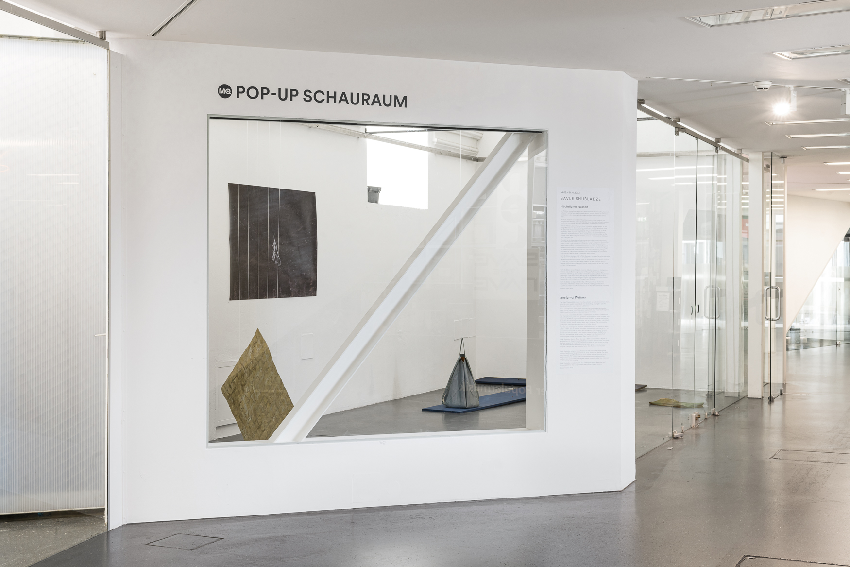 Savle Shubladze: Nocturnal Wetting