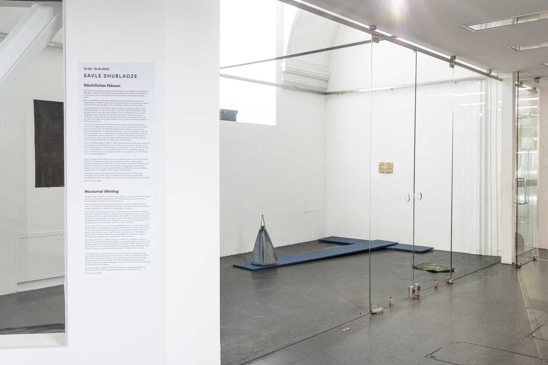 Savle Shubladze: Nocturnal Wetting